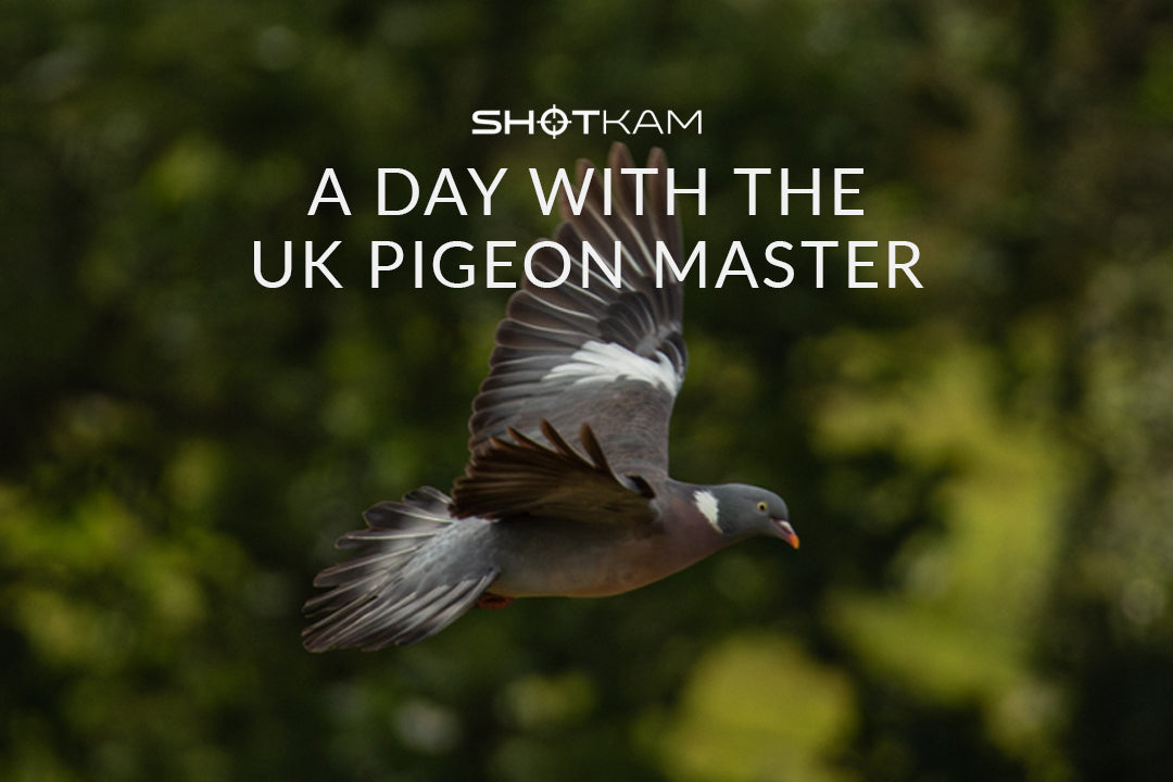 Master Pigeon Shooting: Top Tips & Techniques – ShotKam — USA